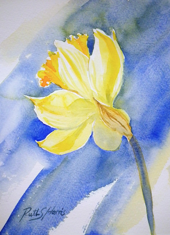A Passion for Watercolour!: A bunch of daffodils