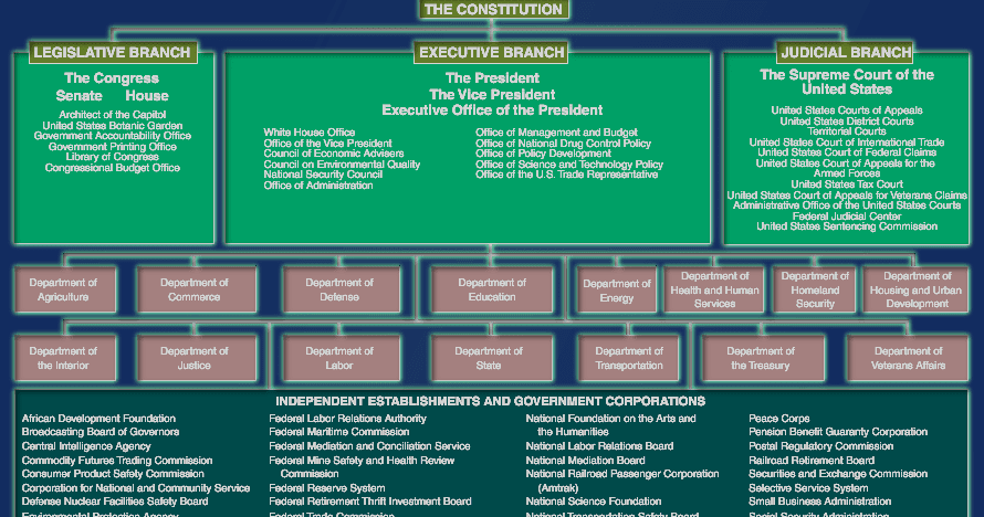 Explanation Of The US Government Structure Afidated explanation-of-the-us-government-structure-afidated