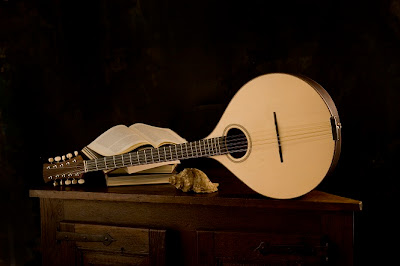 INSTRUMUNDO Instrumentos Musicales: Cistro, Cittern, Cistre, Cister ...