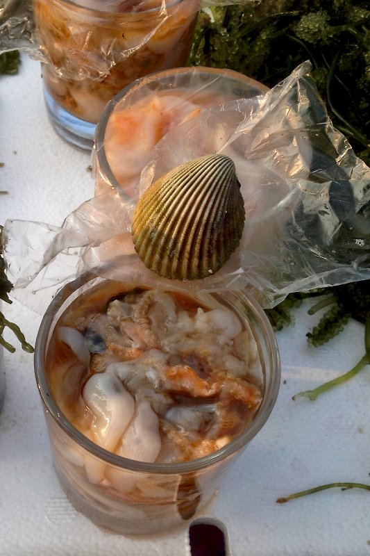 A quick kinhason roundup | dead-hungry