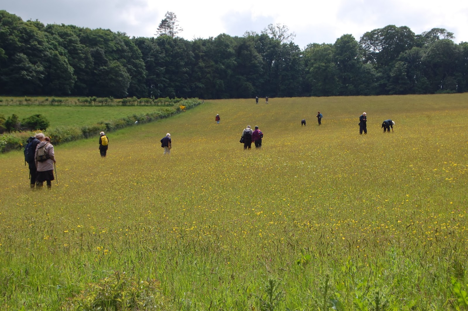 Plants - Publicity - People: the theme for this year's AEM.