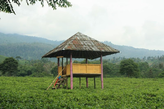 membuat program persamaan kuadrat dengan JavaScript.struktur data. | dengkeng