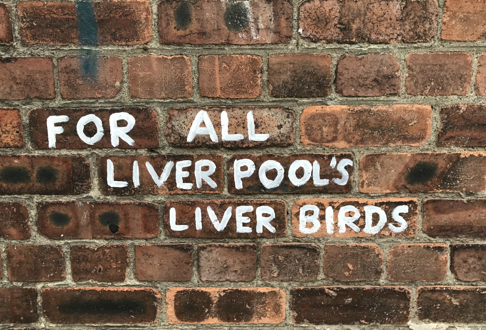 Sign Siren: For all Liverpool's Liver Birds