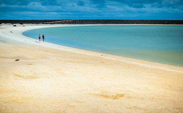 Patrimonio de la Humanidad: Bahía Shark, Australia Occidental 1991