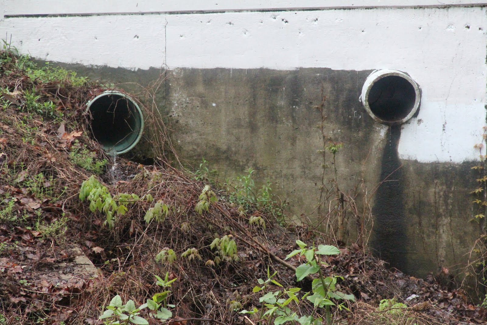 Microbiological Research by Alex Gain