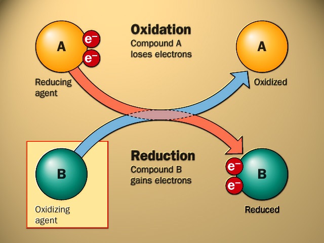 Temas selectos de biofisica: Reacciones redox