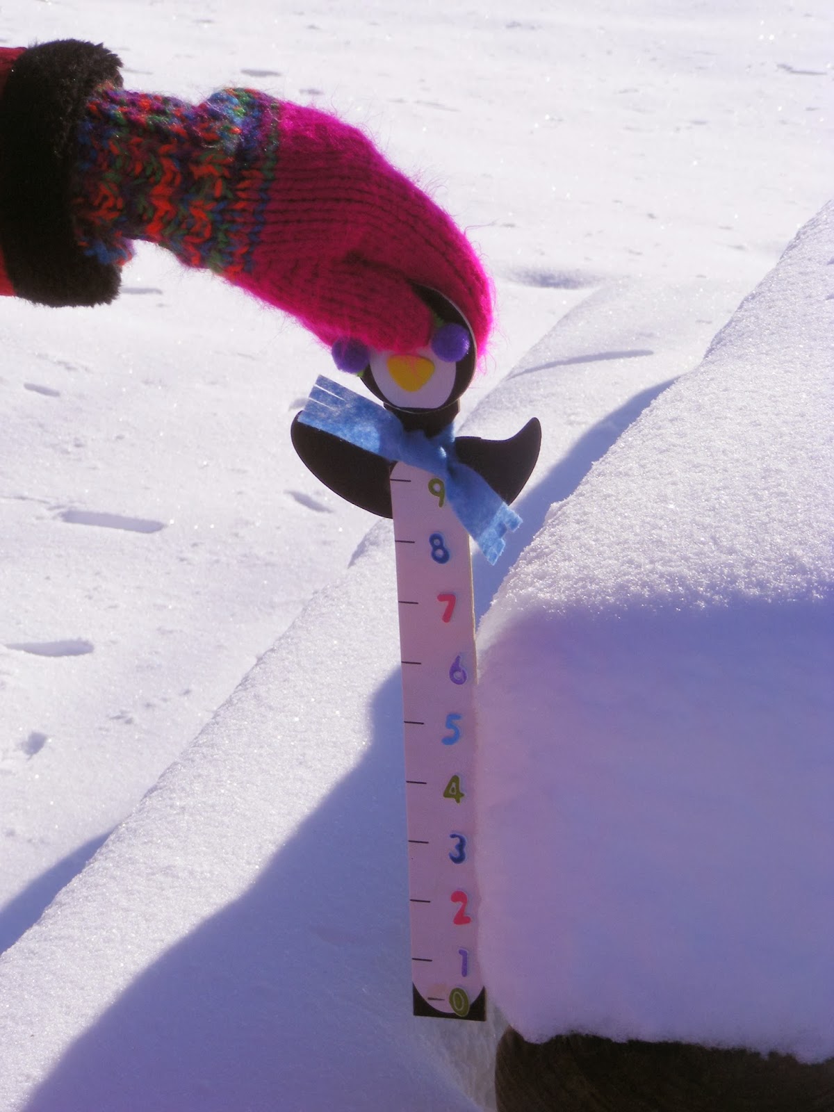 Ten kids and a Dog: A Penguin Snow Measuring Stick