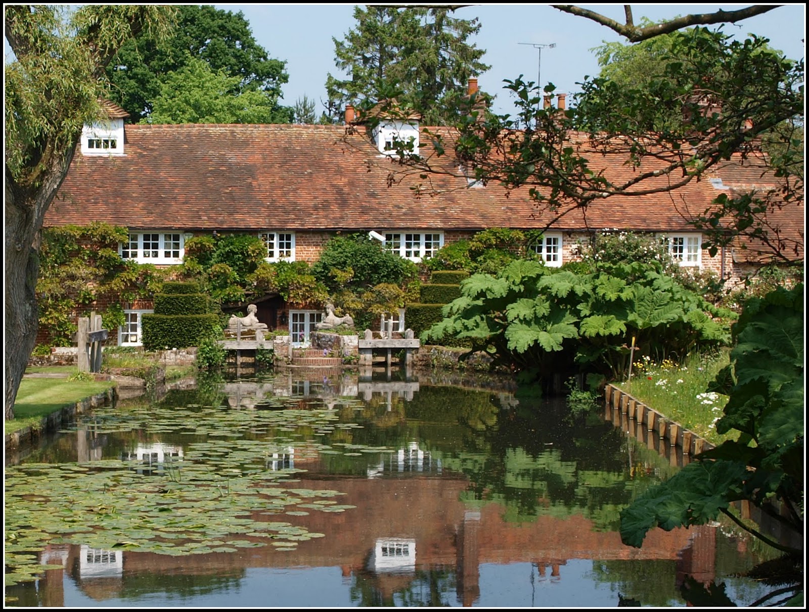 Mark's Veg Plot: Dipley Mill