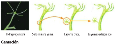 Eighth Grade: Chemistry