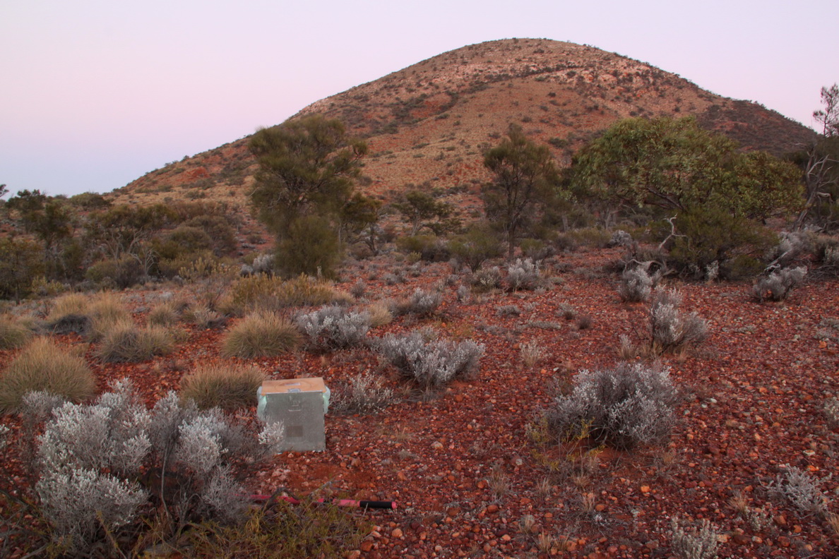 Cheryl Parkes: Day 9, Friday 29/06/2012, Mt Finke to Coober Pedy