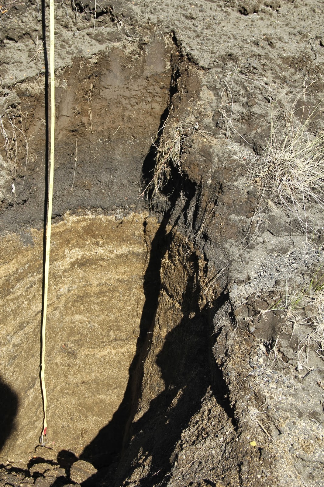 Geography, Geology & Environment at the University of Hull: Iceland: a ...