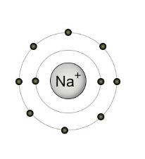 Chemistry of two toxic elements that transforme into essential ...