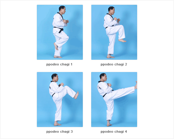 Push Kick ou Meereo Chagi - Aprenda taekwondo