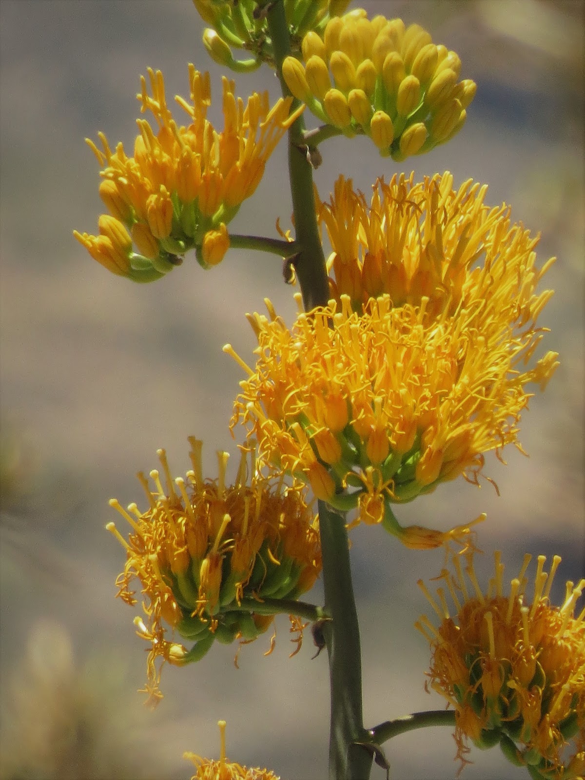 On the Road Abode: Trading a zip code for a toad: Making the Best of a ...