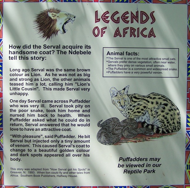 South African Photographs: African Legends