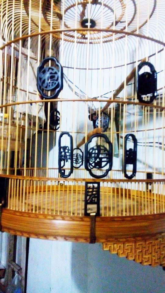 Bán lồng chim chào mào 68 tre già biên hòa | Giá lồng chim đẹp