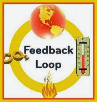 The Dangerous Feedback Loop Between Wildfires and Climate Change ...