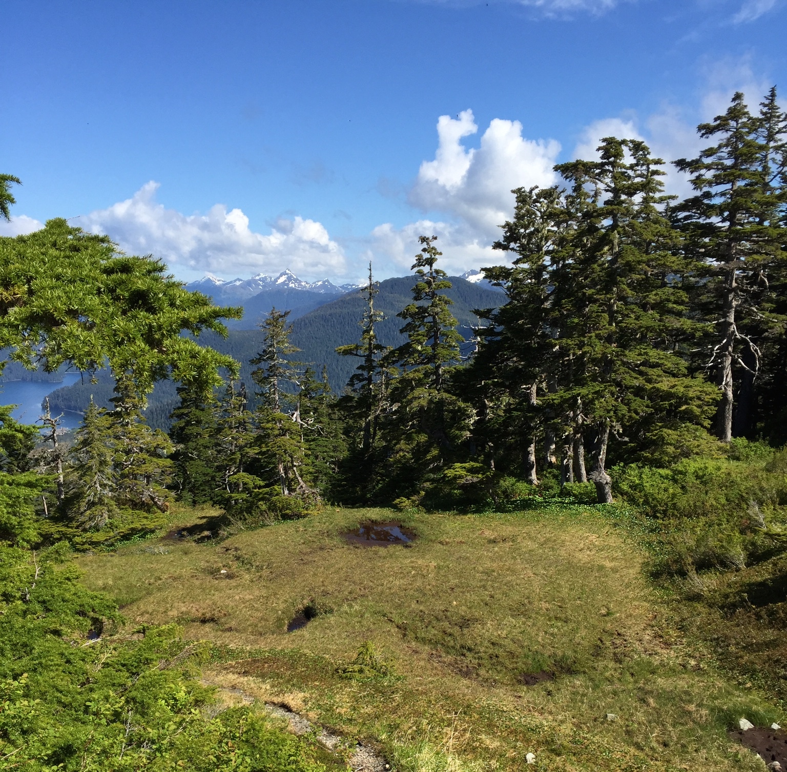 Sitka Taxi Tales: A Tour of Harbor Mountain, Sitka...