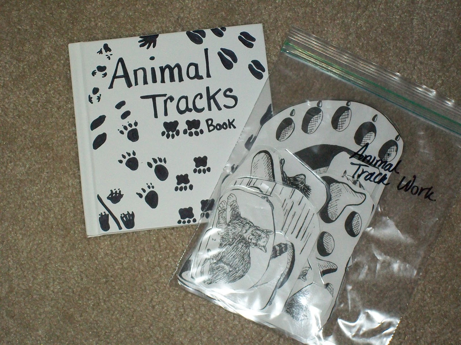 What's in the Box?: Animal Tracks in the workbox?