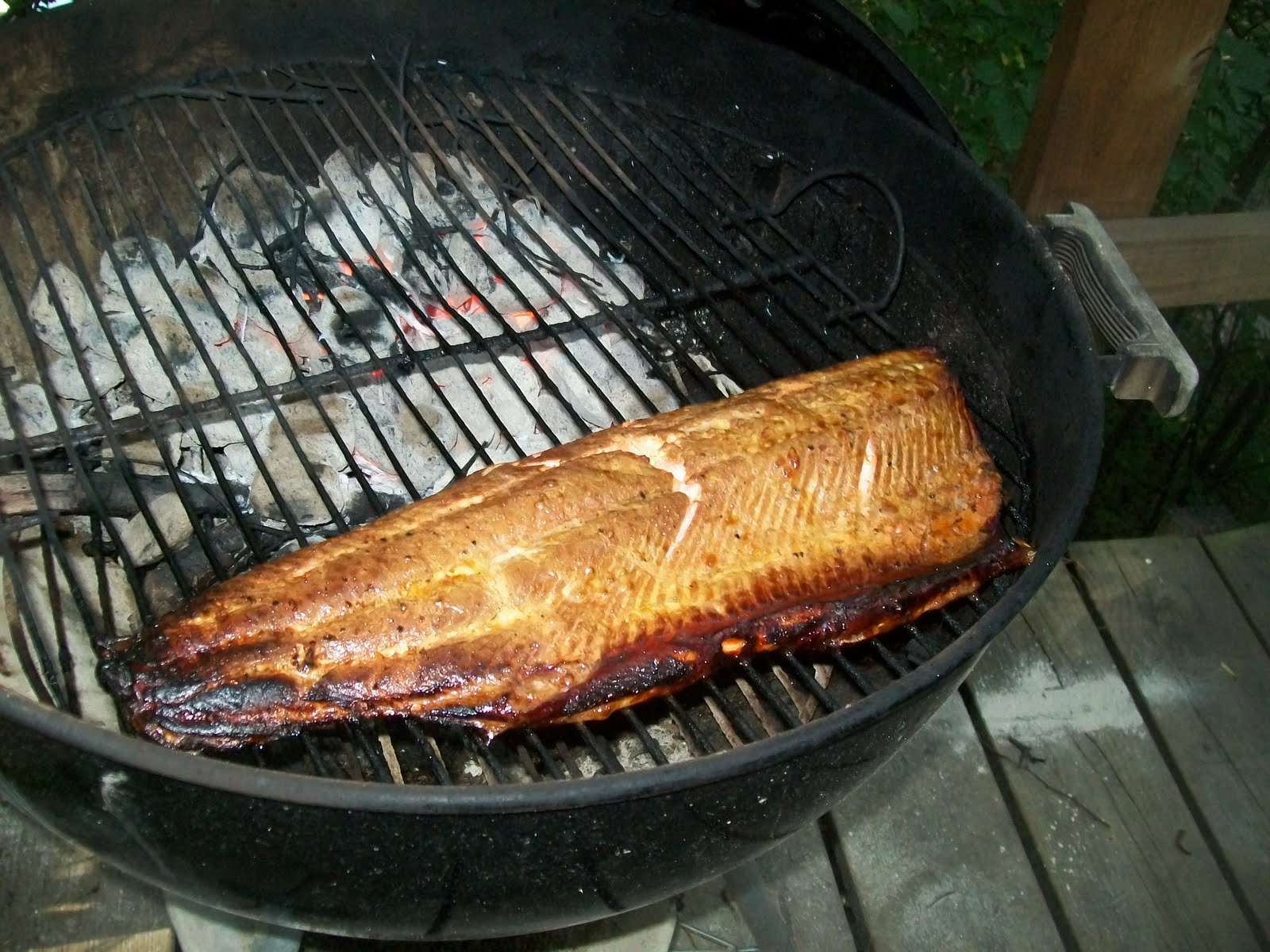 Michigan Cottage Cook: LAKE MICHIGAN WHITEFISH AMBER-STYLE---THE FISH ...