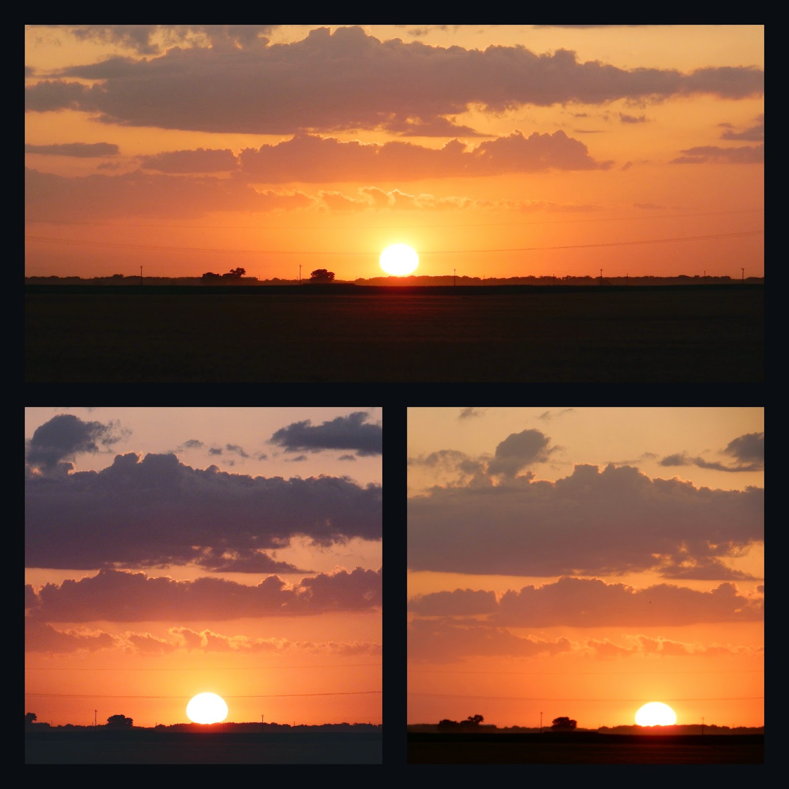 Kim's County Line: Golden Field, Golden Hour