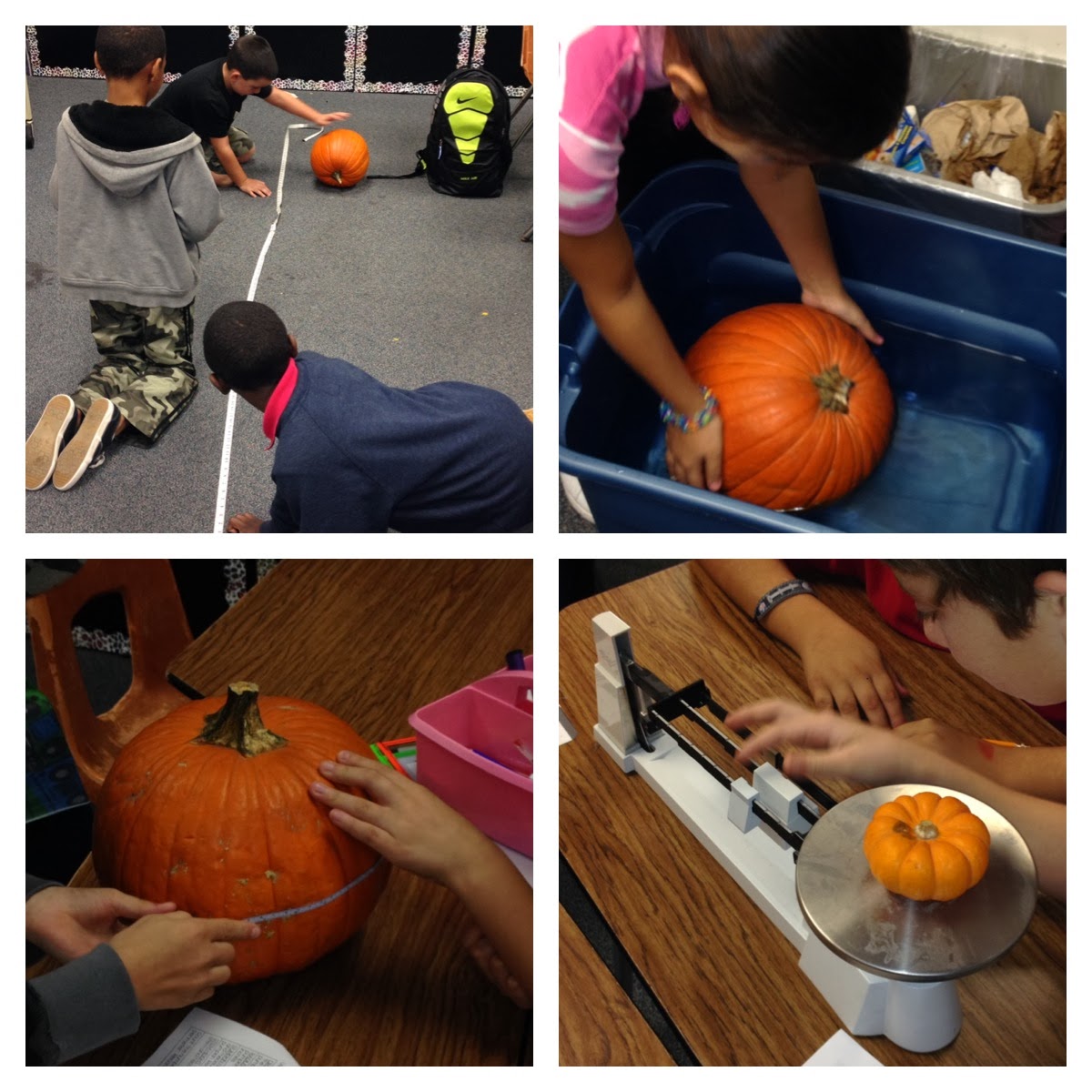 Rock and Teach: PUMPKIN MATH!!!
