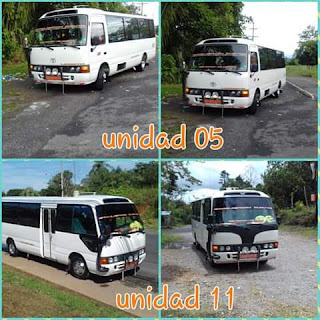 BUSES: COASTER MODIFICADO