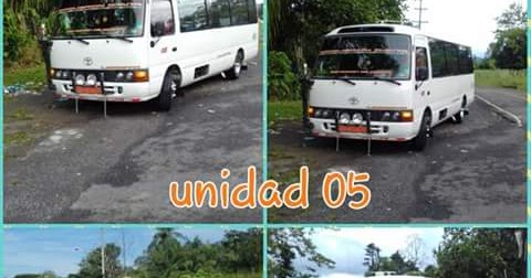 BUSES: COASTER MODIFICADO