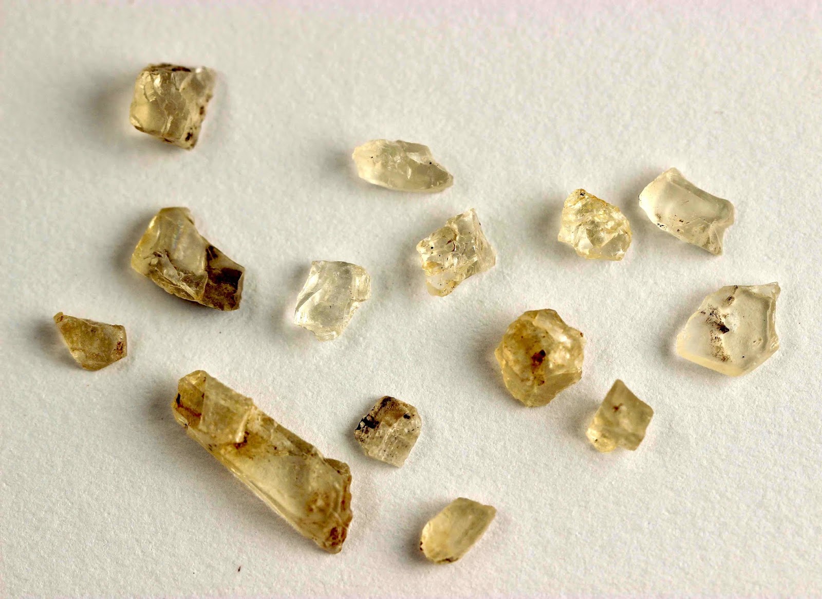 In the Company of Plants and Rocks: Sunstones at Sunstone Knoll