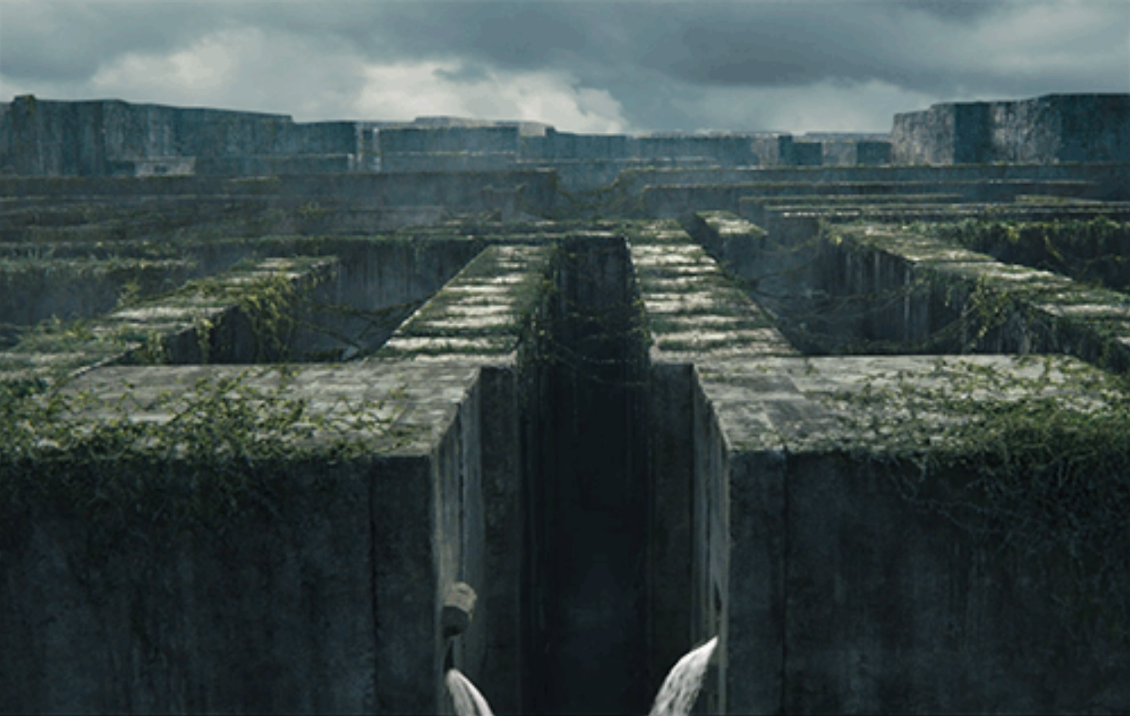 Autumn Leaf: #MovieCorner #20: The Maze Runner