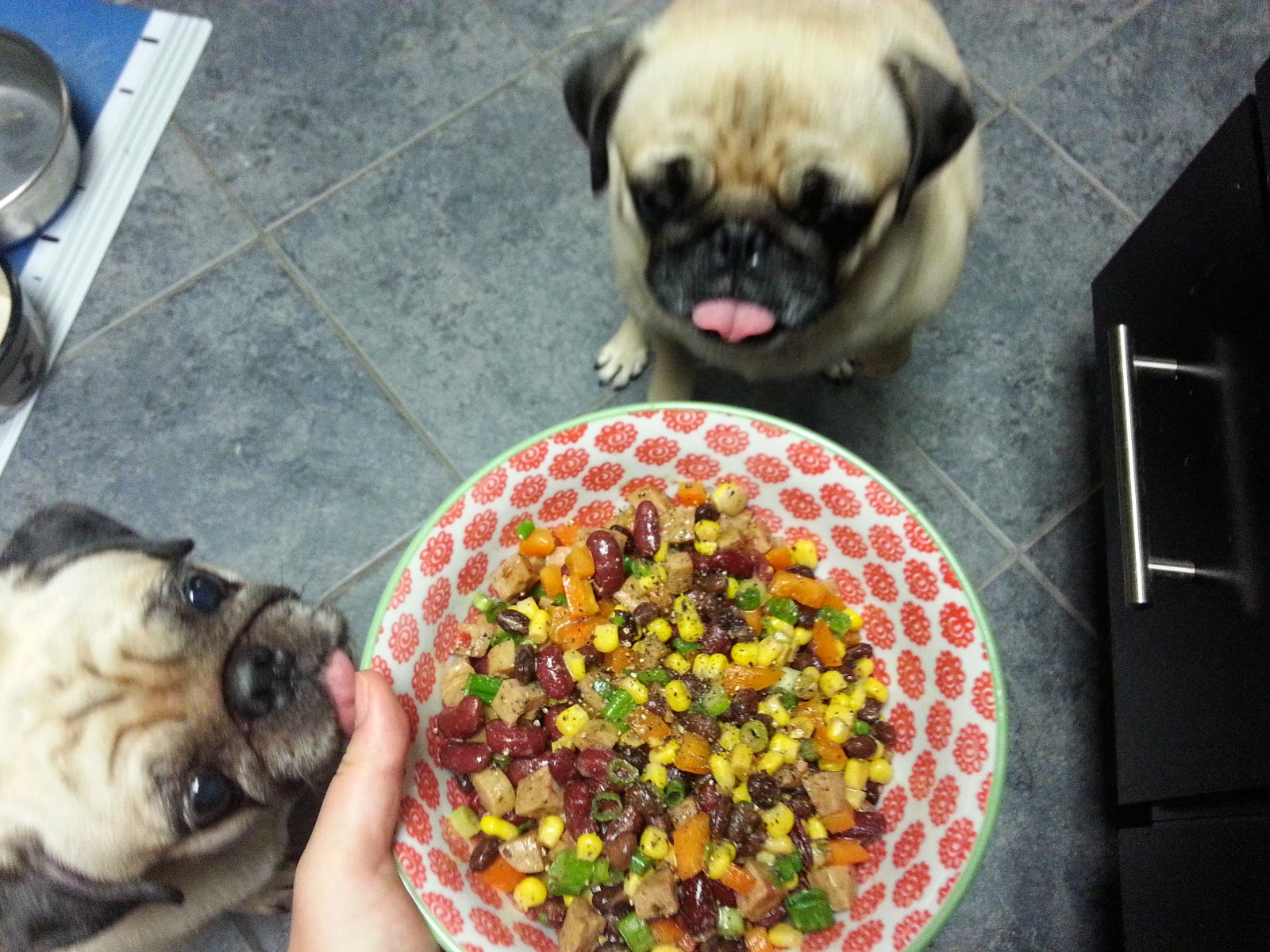 Grubbin' Pugs: Summer Bean Salad with Chicken Sausage
