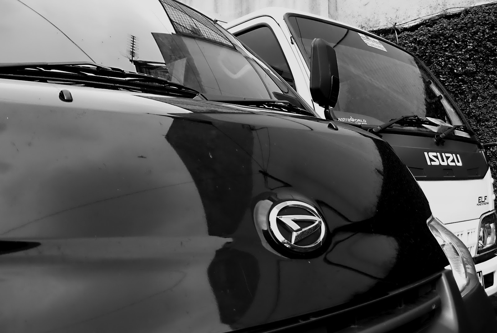 sewa mobil box - sewa truk box