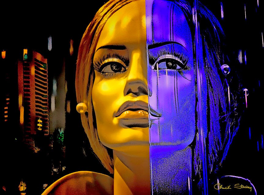 art wonder every day: Split Personality by Chuck Staley