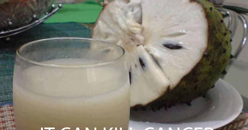 Soursop Fruit Cures Cancer