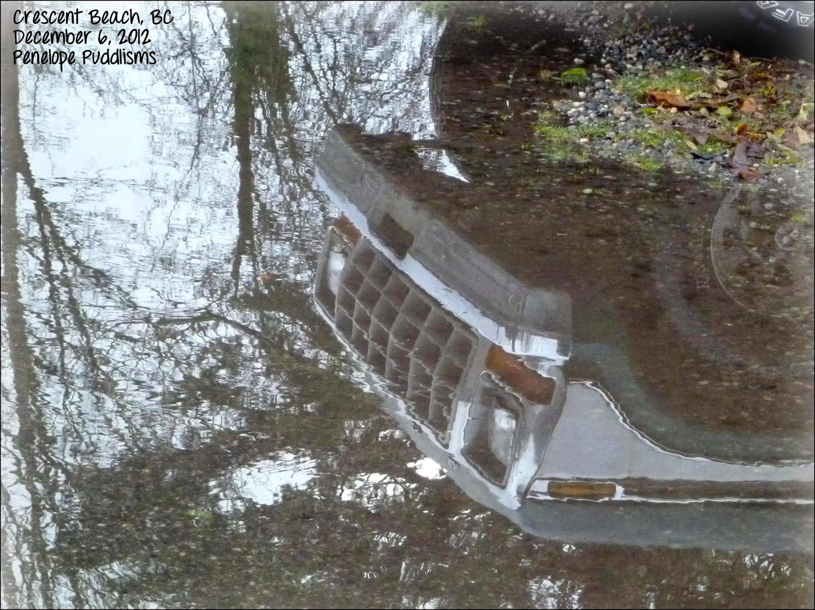 Musings of A Puddlist In B.C.: The Secret World Of Puddles