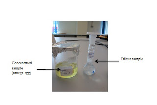 biochemistry: Practical 2 : Protein Experiment