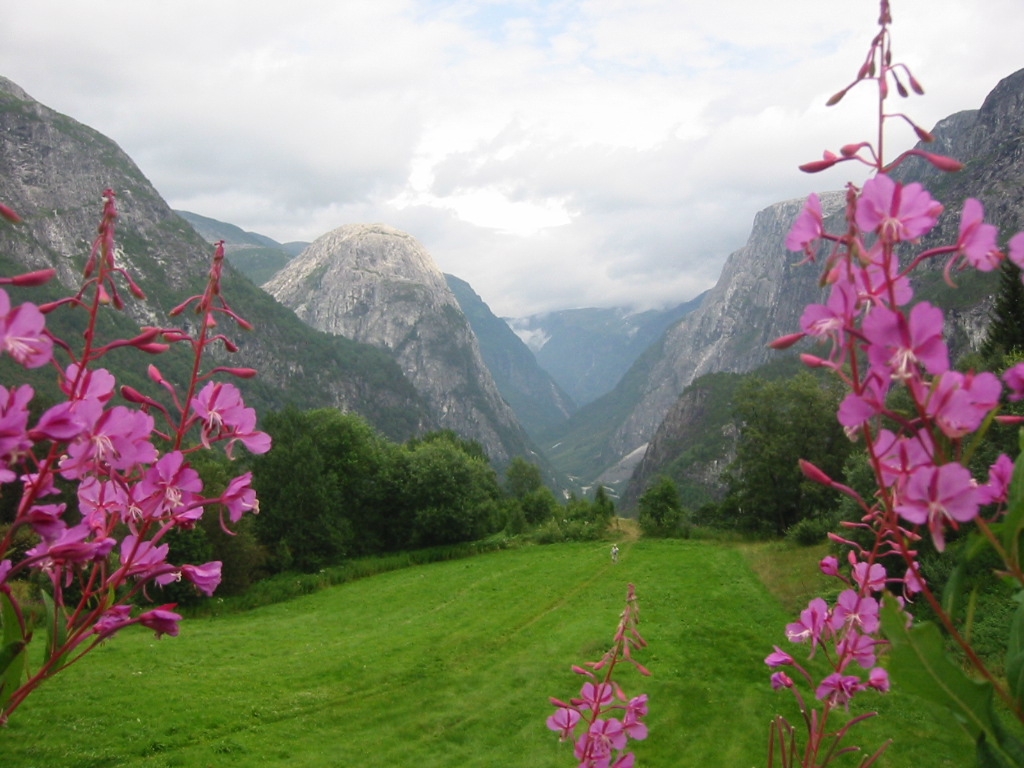 Places To See Before You Die: Valley Of Flowers