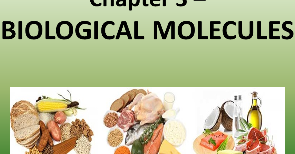 Grade 11: Chapter 3 - BIOLOGICAL MOLECULES