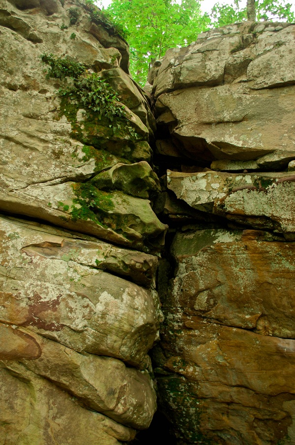 One State, Two Boys: Moss Rock Preserve - Hoover, Alabama - July 15, 2011