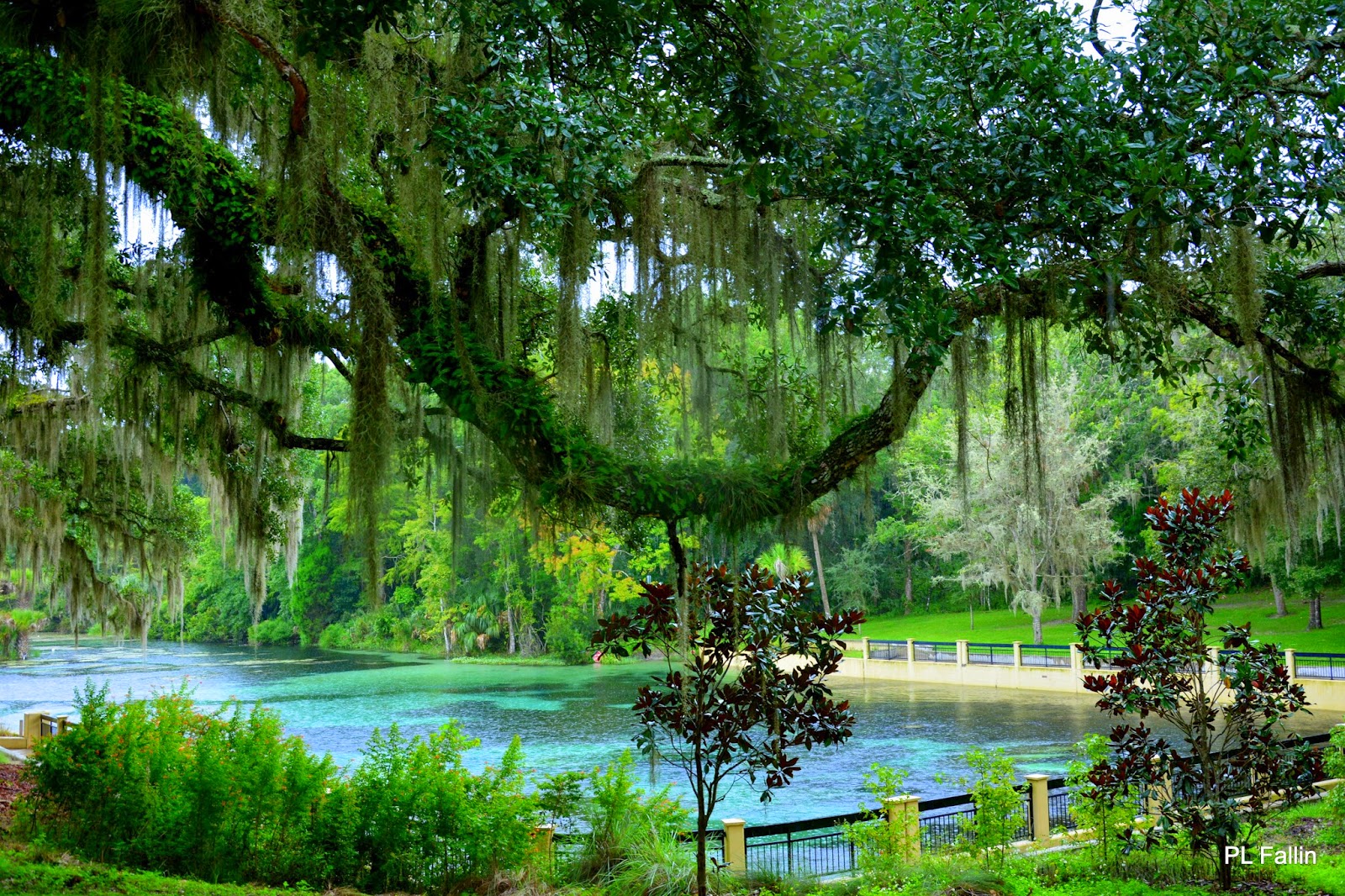 PL Fallin Photography: Salt Water Springs "Into Each Life Some Rain ...