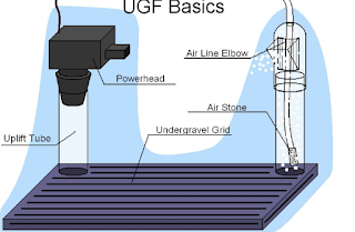 Cara Memilih Filter Terbaik Untuk Aquascape - PERIKANAN
