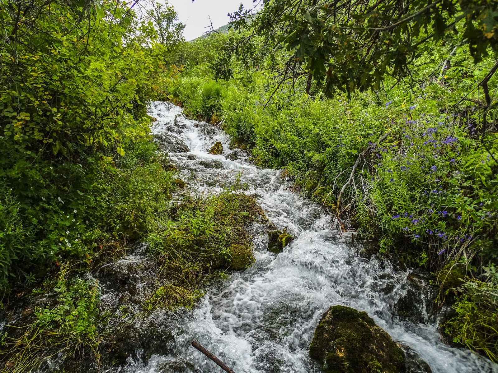 Walking Arizona: Cascade Spring in the Wasatch Mountains