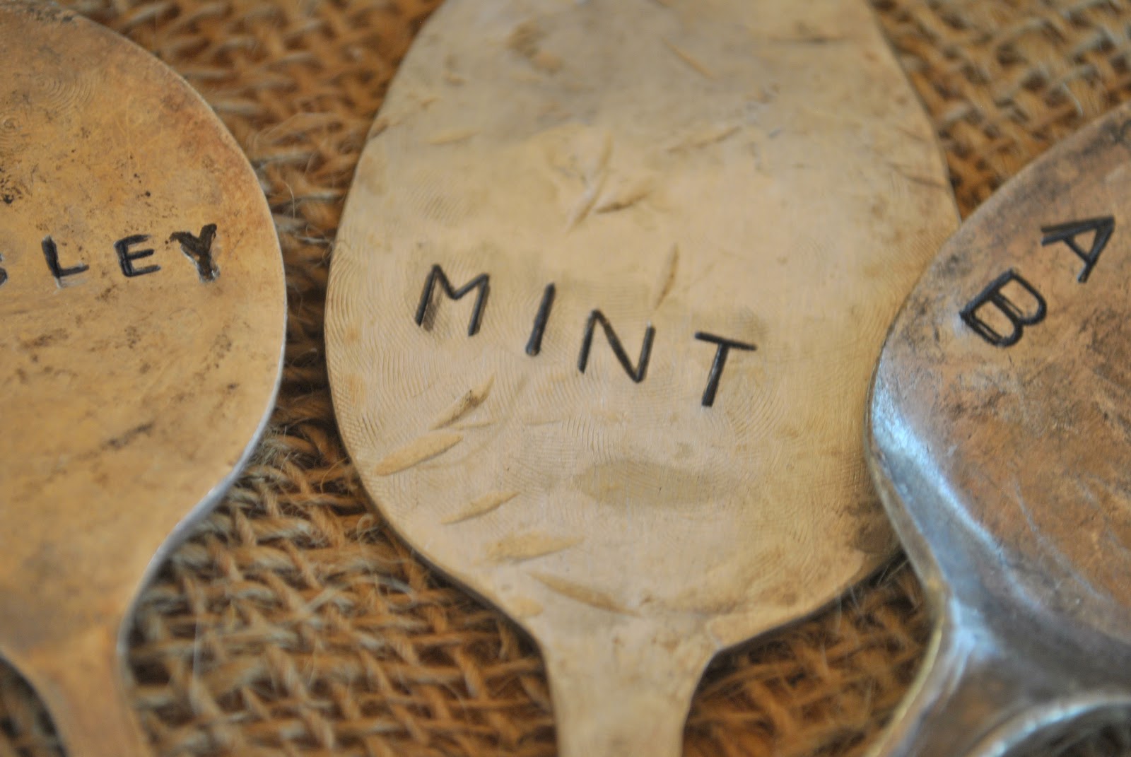 throwback thursday.. diy herb spikes from yardsale spoons..