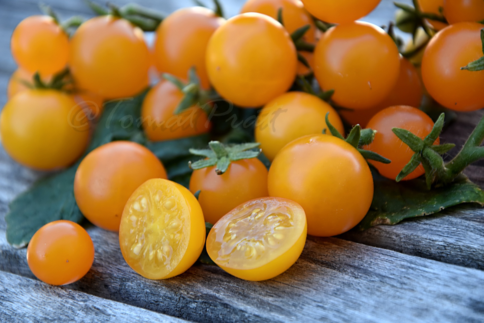 Helenes Tomater: Pinocchio Orange