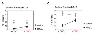 The Cellular Scale: September 2012