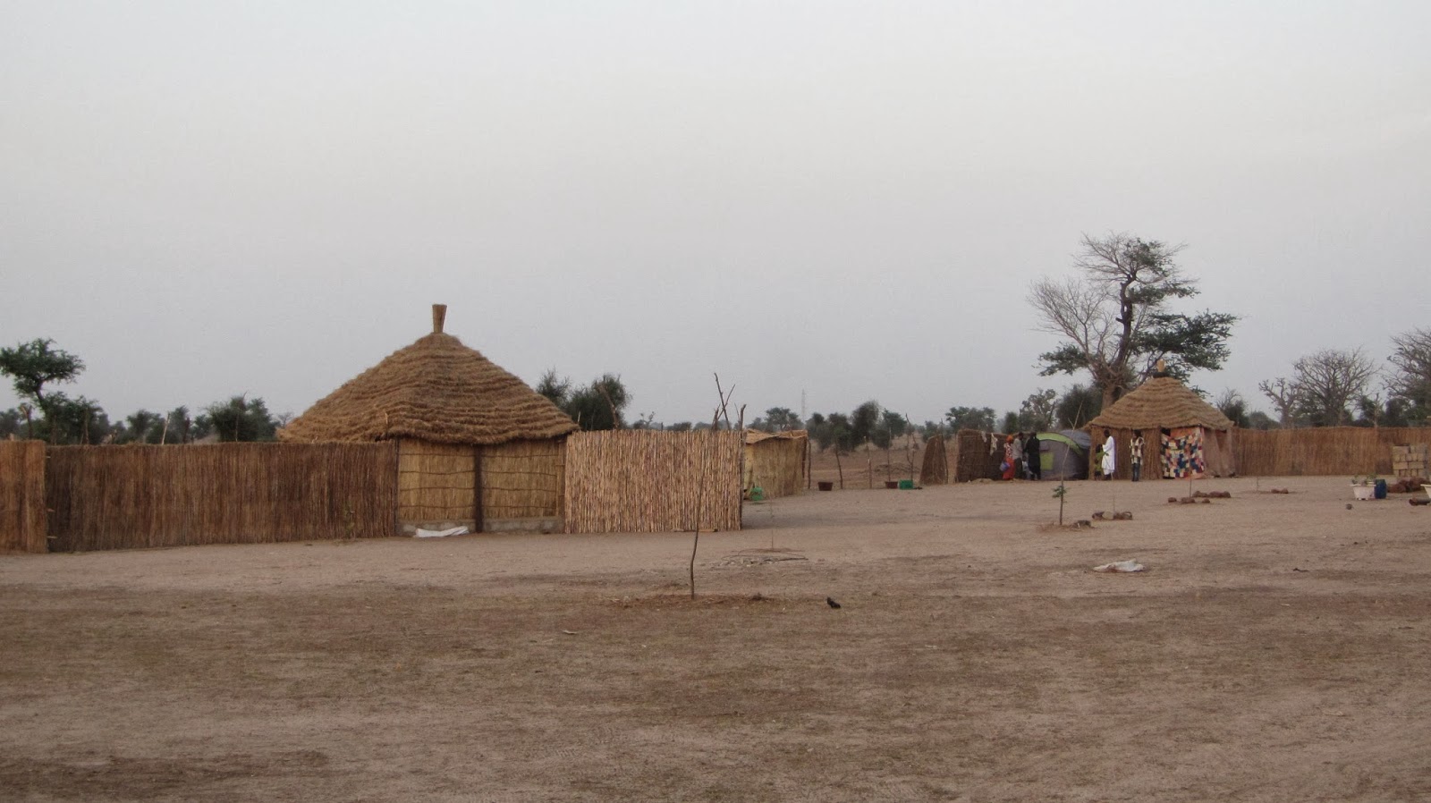 Valoche au Senegal: Nouveau Daara