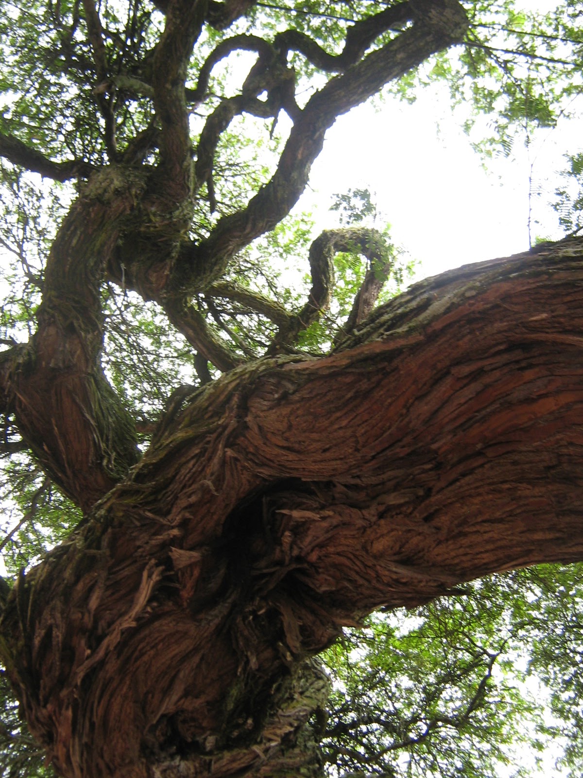 DESIERTO TROPICAL LA TATACOA: CURIOSOS LUGARES