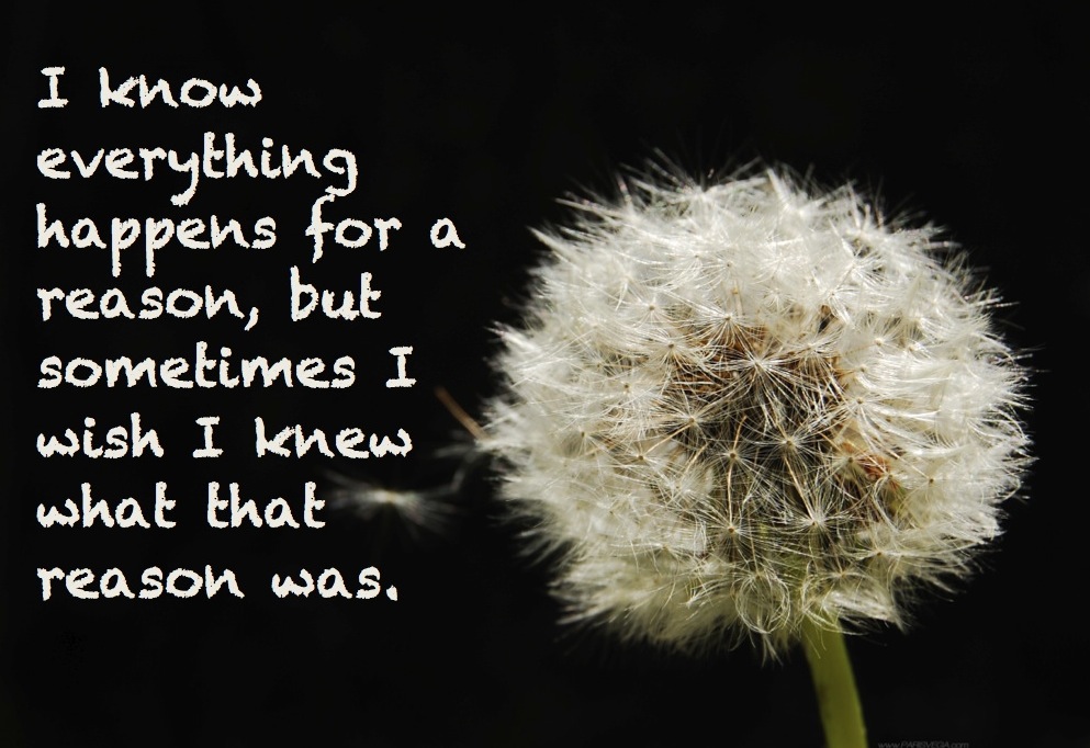 I Wish You Loved Me Back Quotes