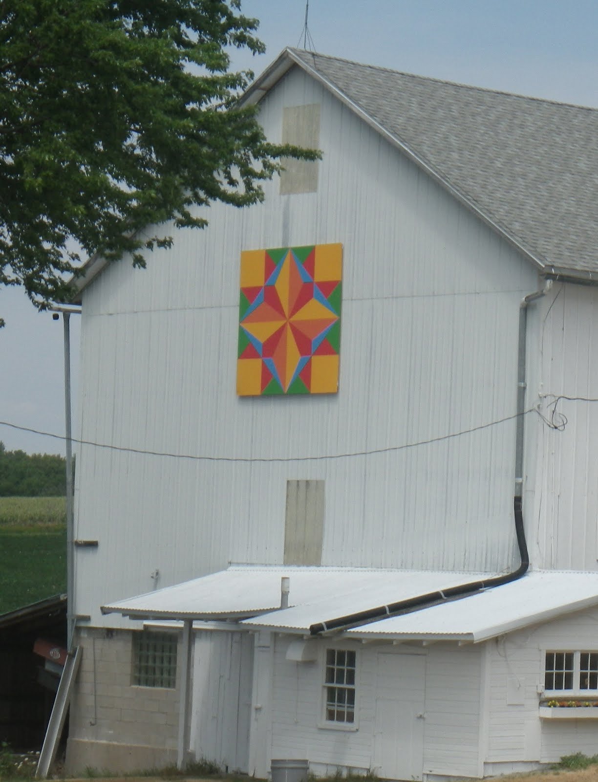 Barn Quilts and the American Quilt Trail: Where's Suzi?
