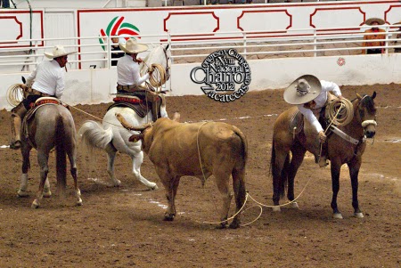 francisco lavin: EL CHARRO